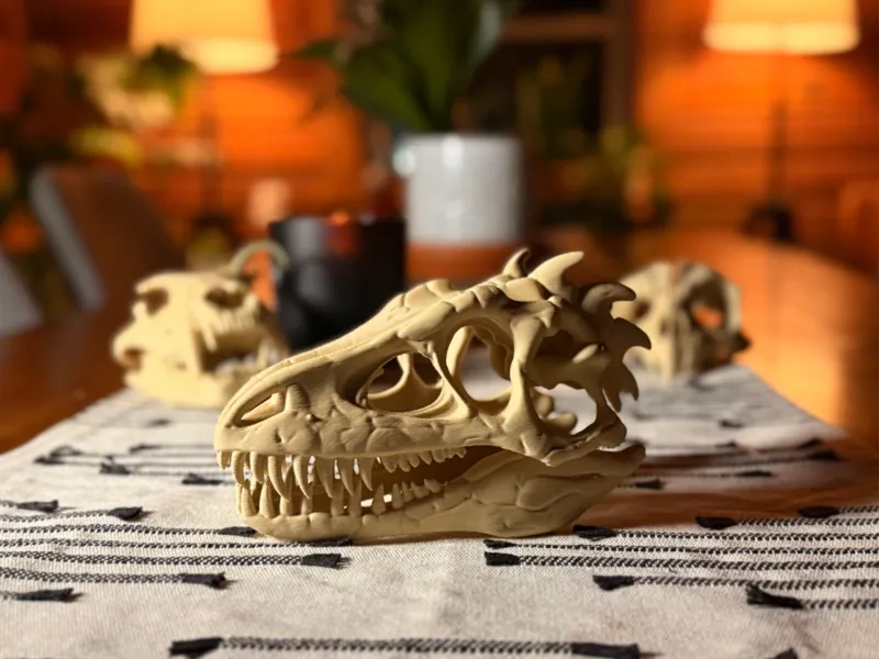 人体牙齿模型 来自 ITSFLUO MakerWorld：免费下载 3D 模型