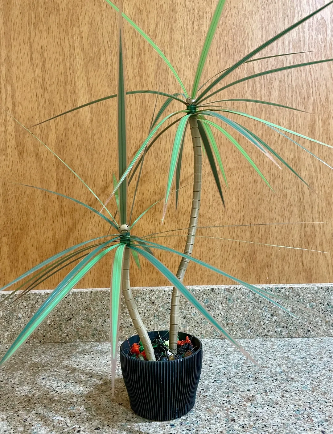 Artificial Dragon Tree Plant (Dracaena Marginita) 来自 FDM NERD - MakerWorld