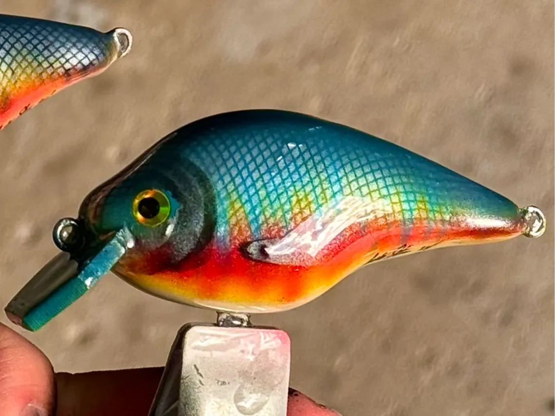 Crankbait Lure for Bass, Fishing, Trout, Jigging 来自 Jvss Designs ...