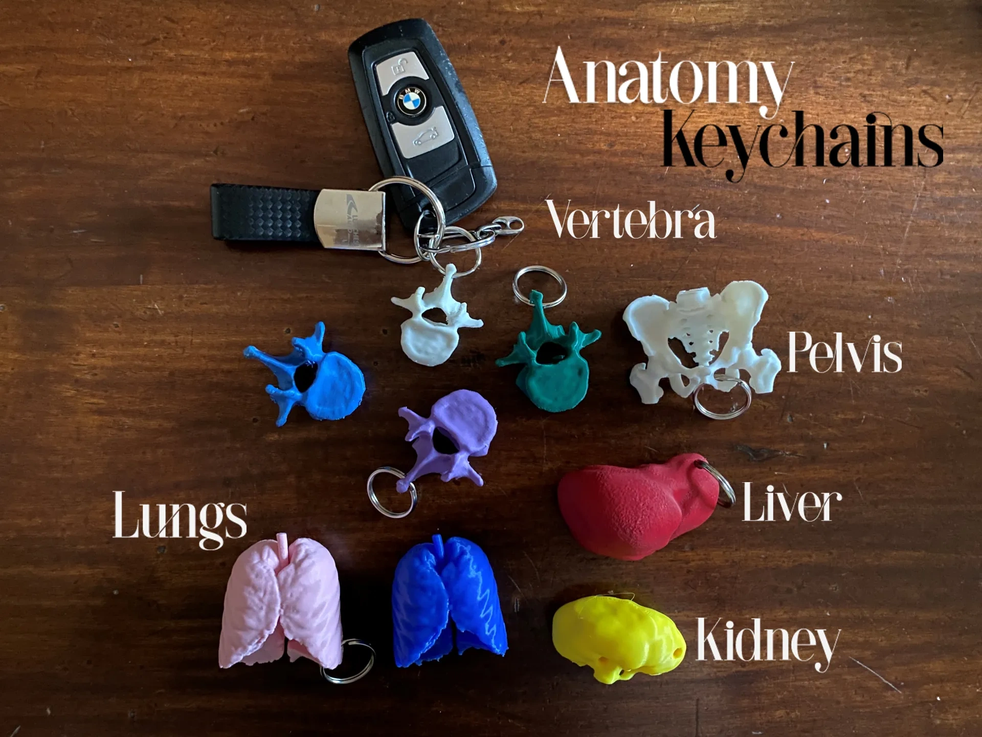 Anatomy Keychains Bundle 来自 Big Simi MakerWorld：免费下载 3D 模型