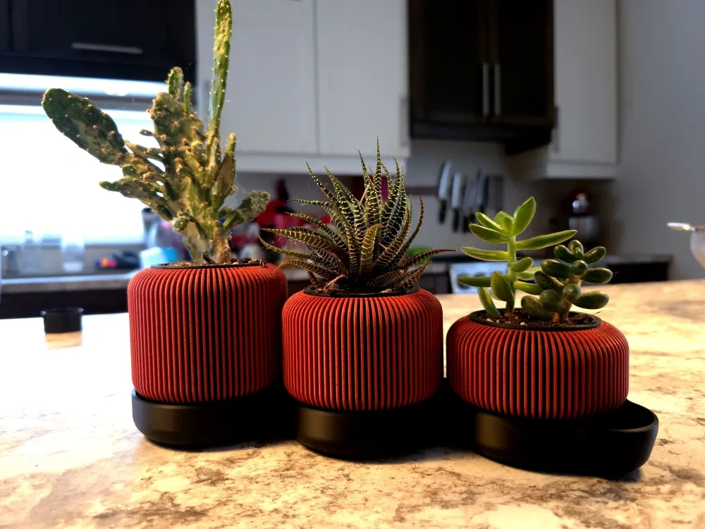 仙人掌或小型植物装饰盆 v1.0 - 免费 3D 打印模型 - MakerWorld