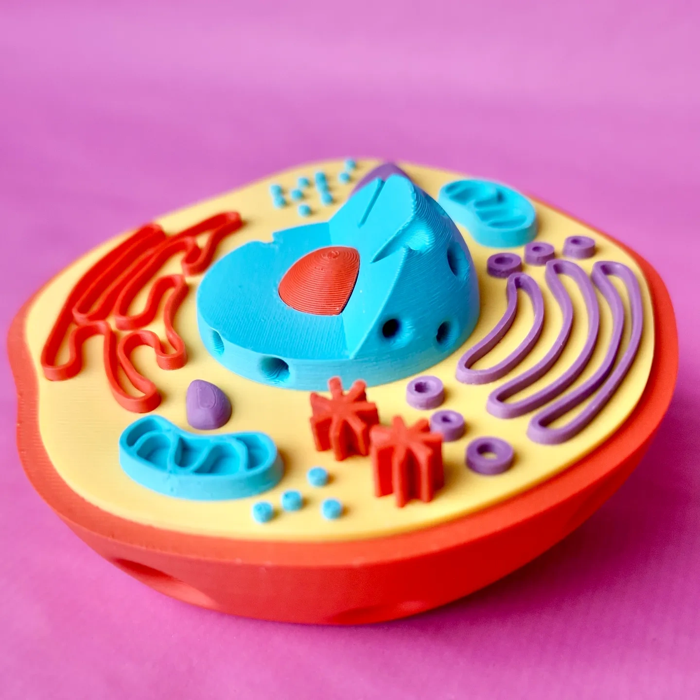 动物细胞 二次创作 - 来自 ZEE SOLO - MakerWorld