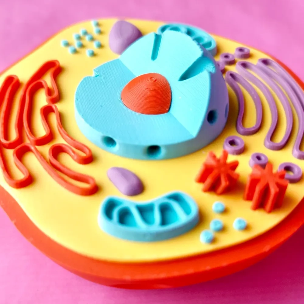 动物细胞 二次创作 - 来自 ZEE SOLO - MakerWorld