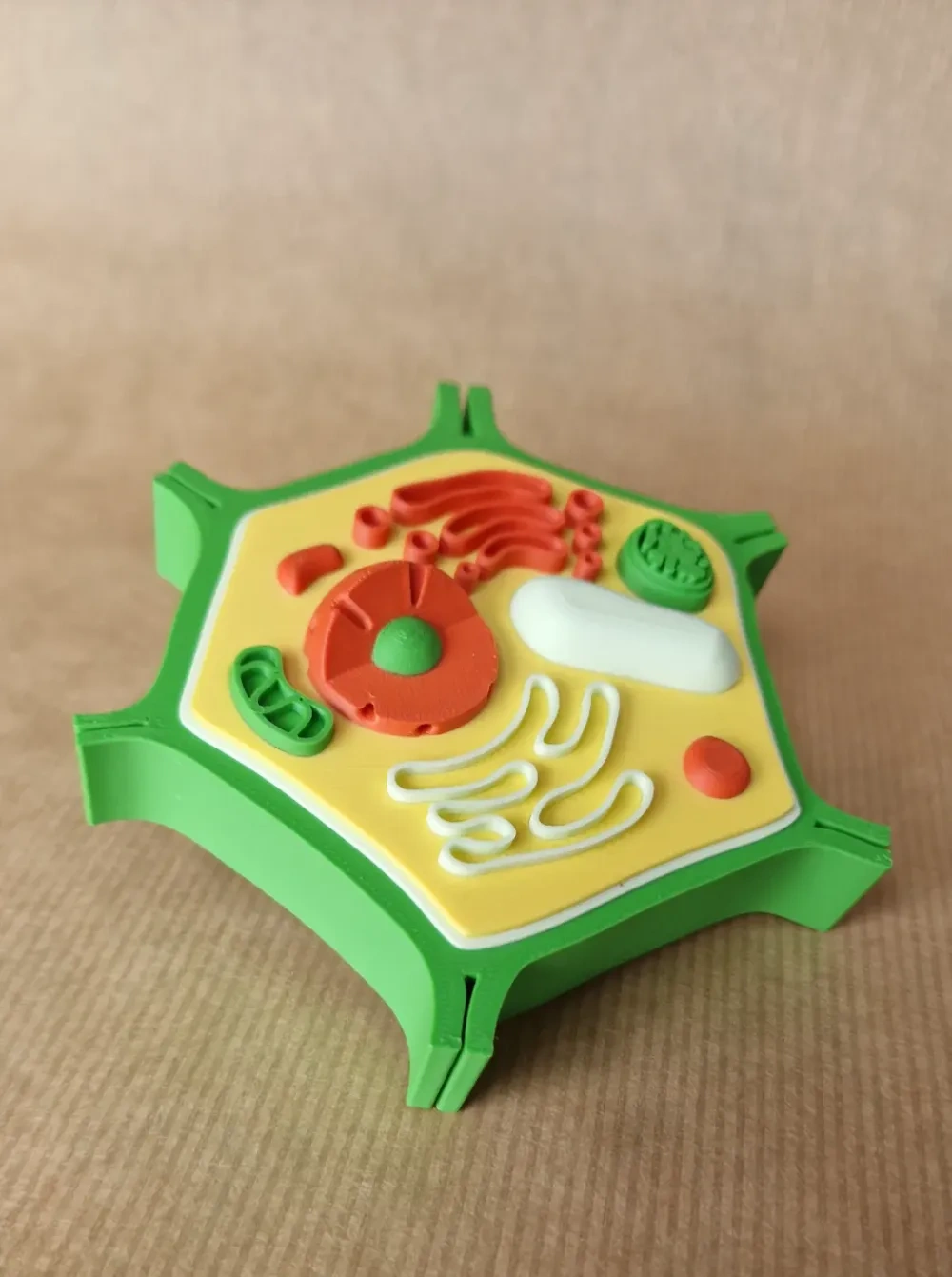 植物细胞 二次创作 - 来自 ZEE SOLO MakerWorld：免费下载 3D 模型