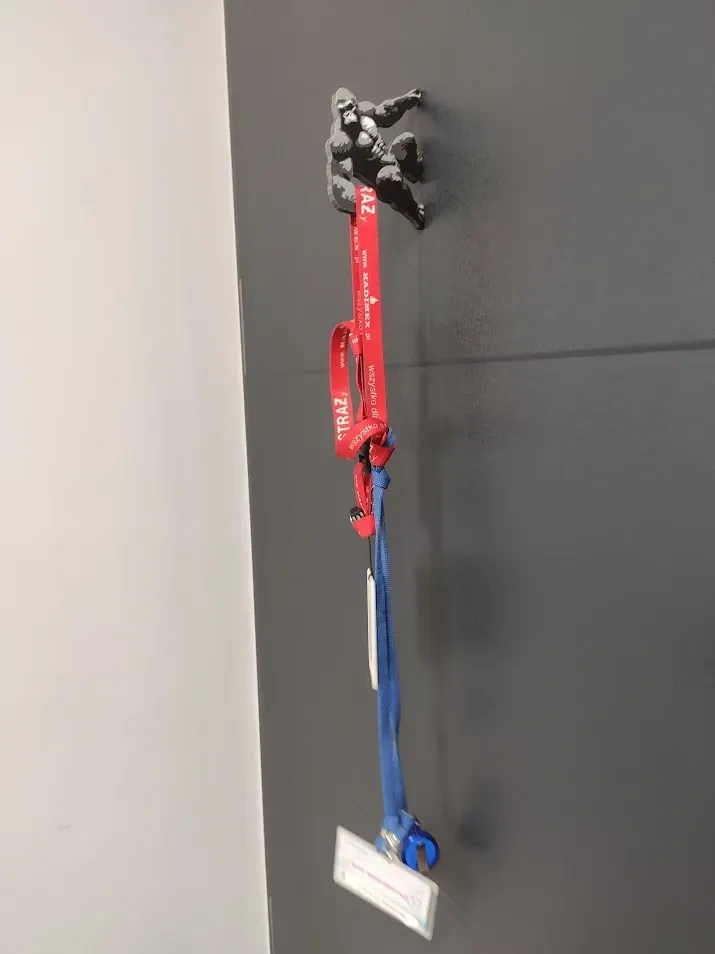 Magnetic King Kong 来自 Sevro - MakerWorld