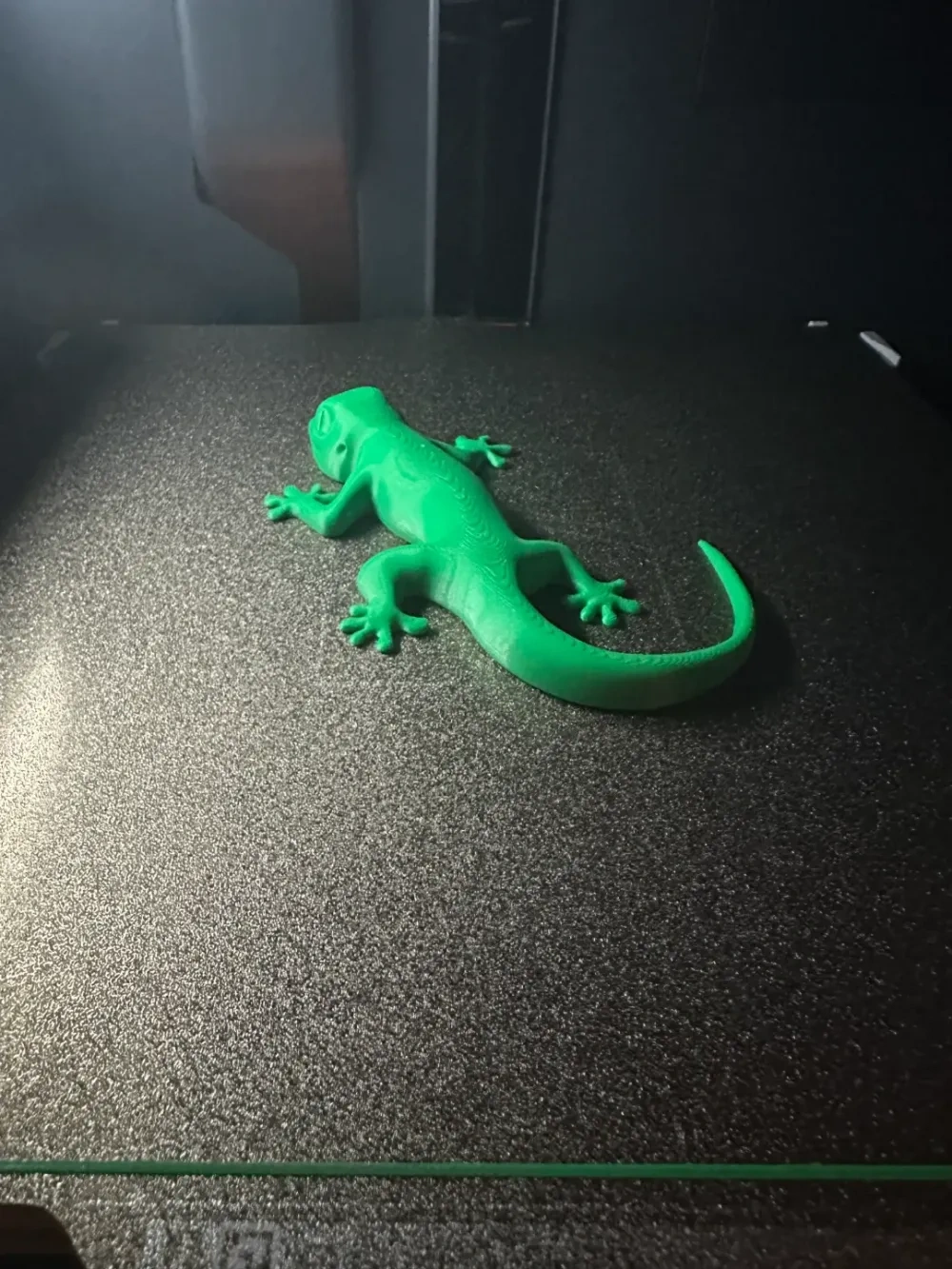 Geko 来自 FollowForCoolModels - MakerWorld