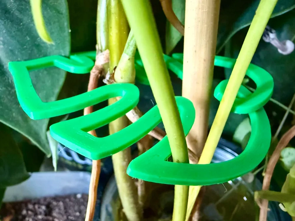 带有紧固钩的龟背竹造型植物支架 来自 Faran3D - MakerWorld
