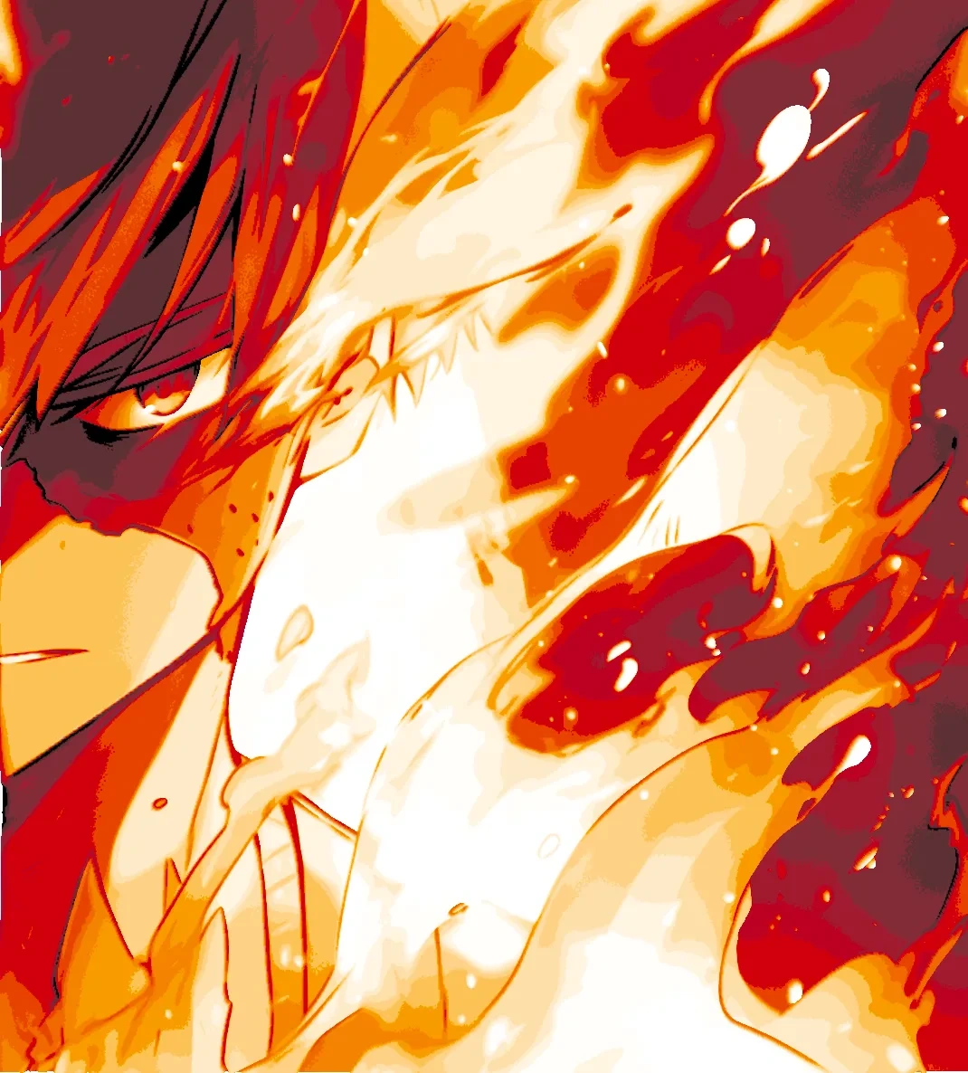My Hero Academia - Shoto Todoroki (Fire) Hueforge 来自 GoingMerryPrinting ...