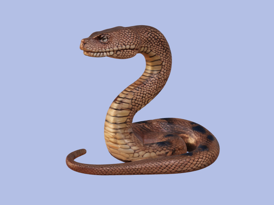 一条眼镜蛇 来自 00-H - MakerWorld