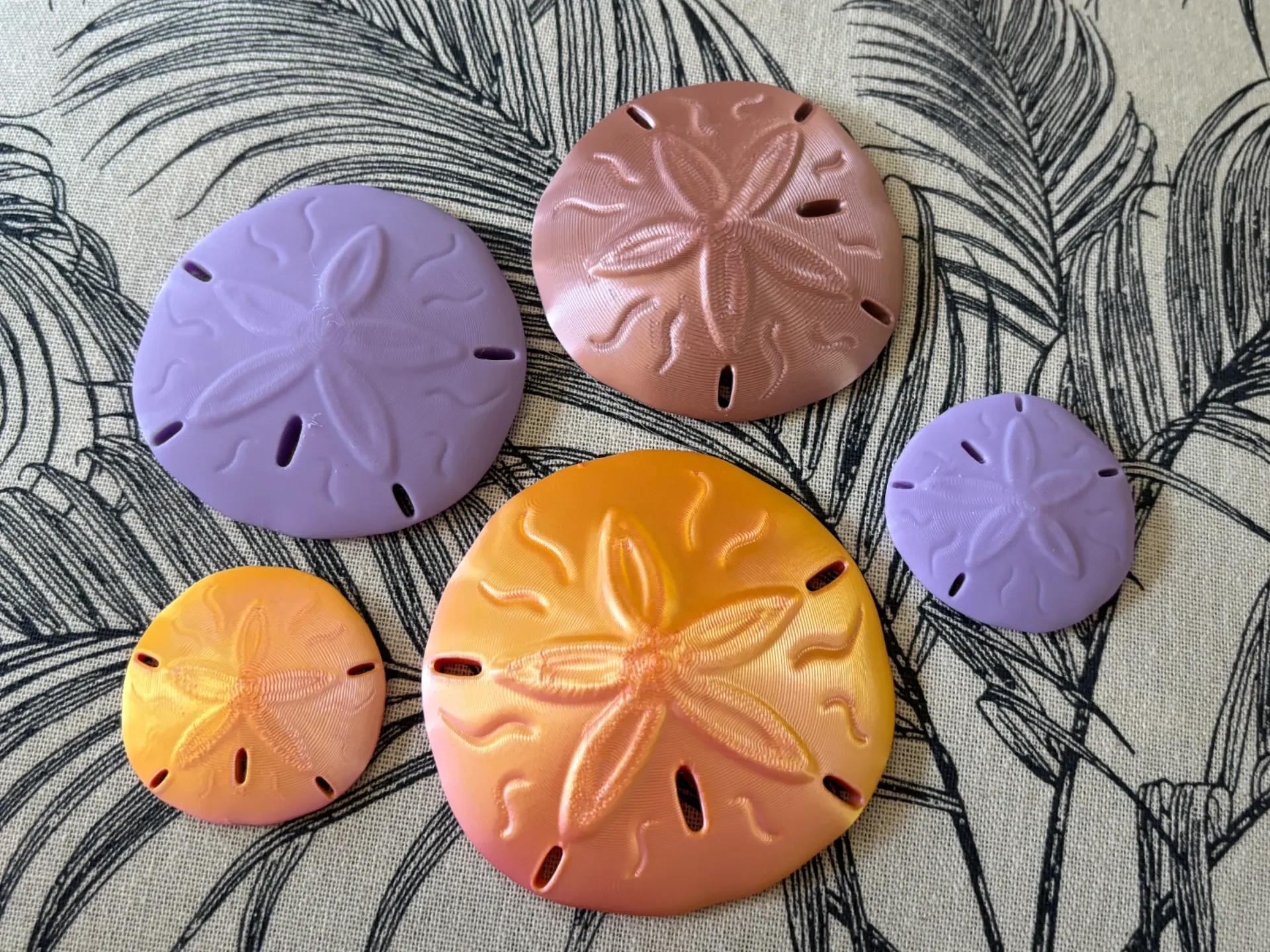 Sand Dollar 来自 RD.XL - MakerWorld