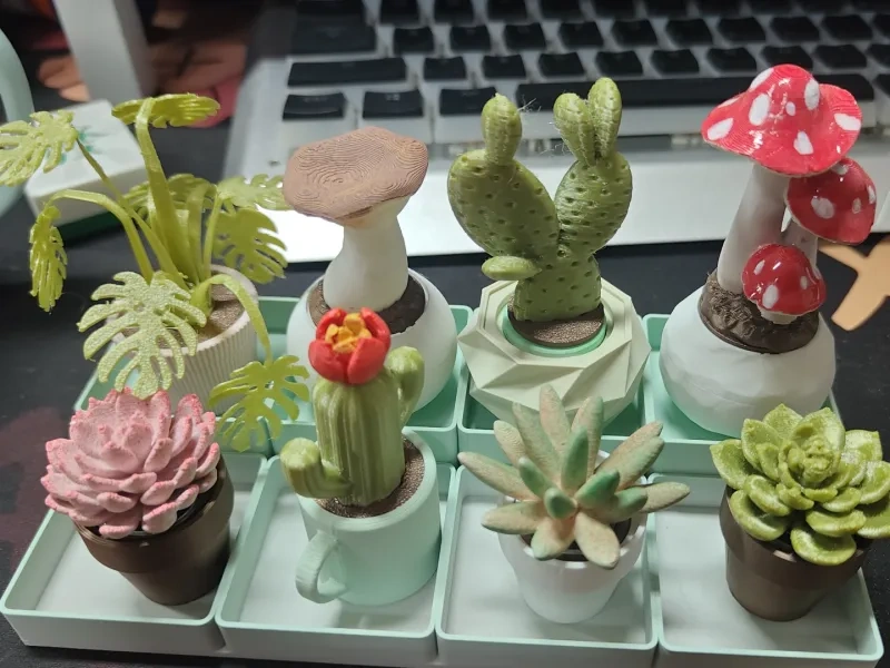 多肉植物盆栽 来自 rbrown1262 MakerWorld：免费下载 3D 模型