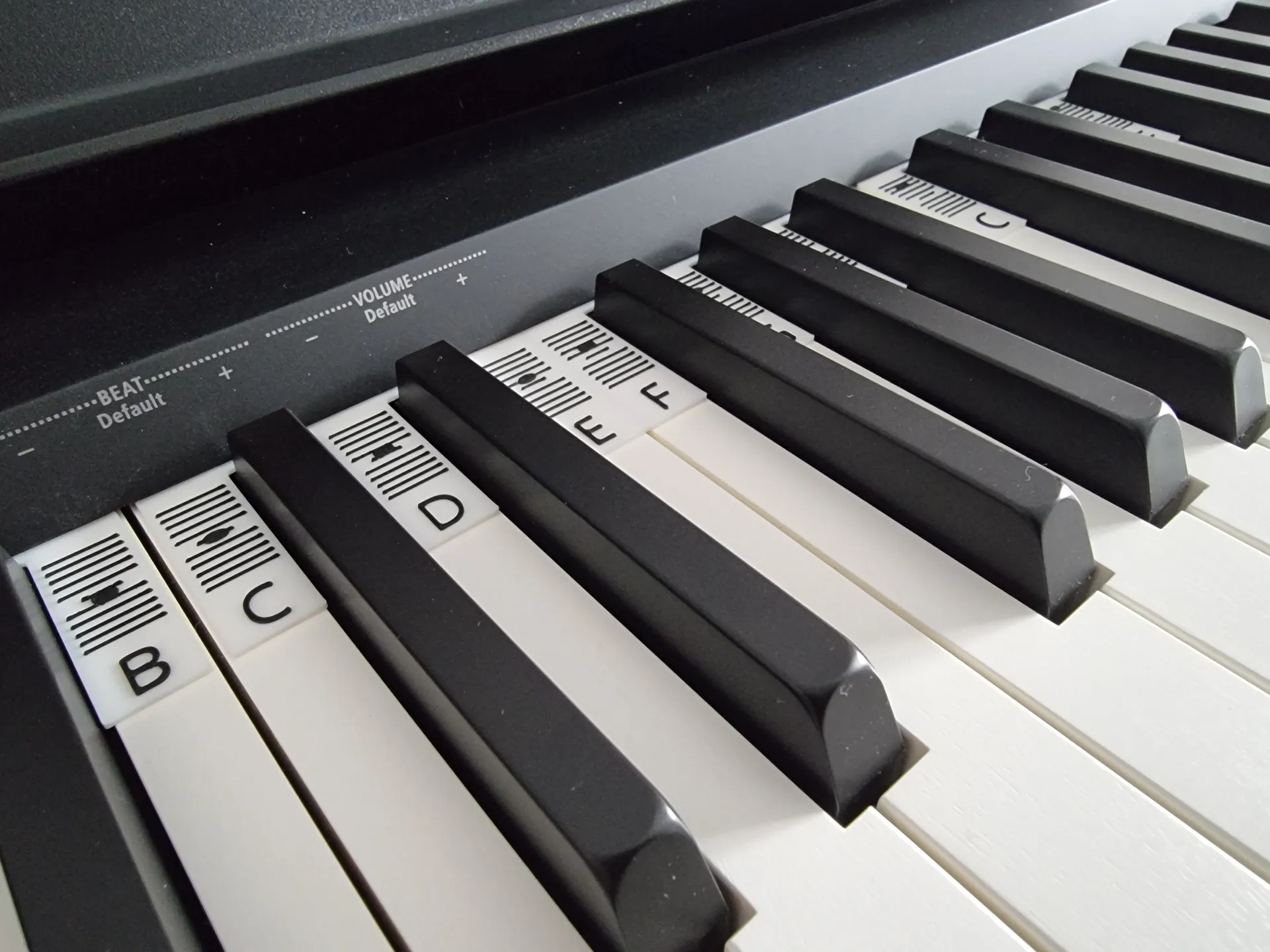 Piano Key Guide for Begginers 来自 Murdoc - MakerWorld