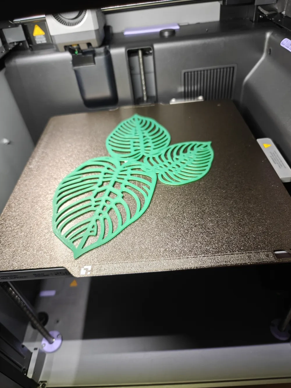 热带龟背竹墙面装饰 - 免费 3D 打印模型 - MakerWorld