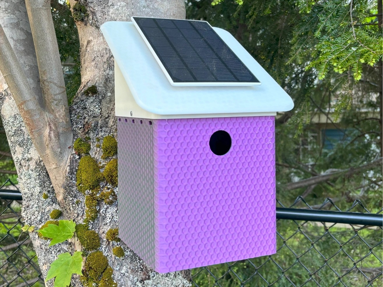 The Nest Watcher 5000 - 太阳能鸟屋窥视器 来自 Man of Mystery Intl. - MakerWorld