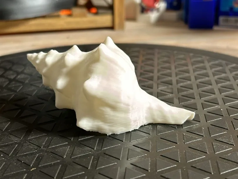 Muschel /shell 来自 F&H - MakerWorld