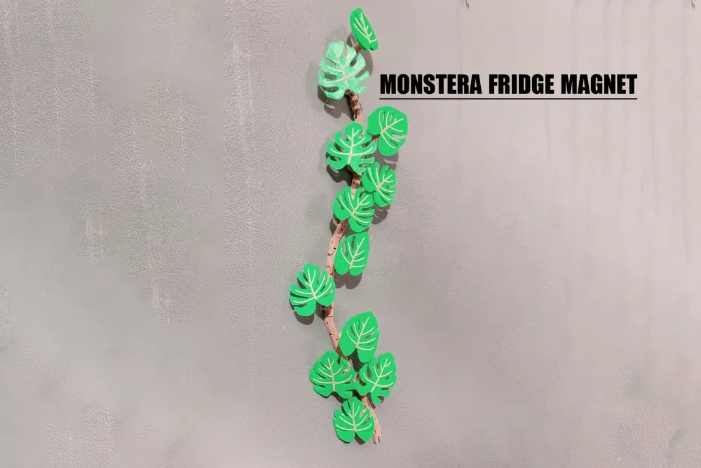 龟背竹冰箱贴 来自 madboy MakerWorld：免费下载 3D 模型