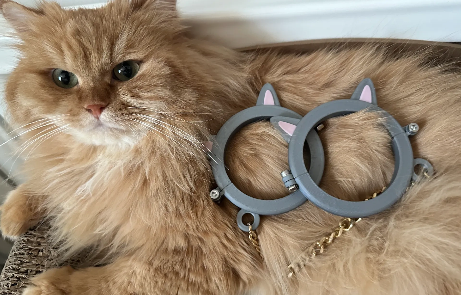 【猫猫手铐】Cat handcuffs 来自 可爱Plus - MakerWorld