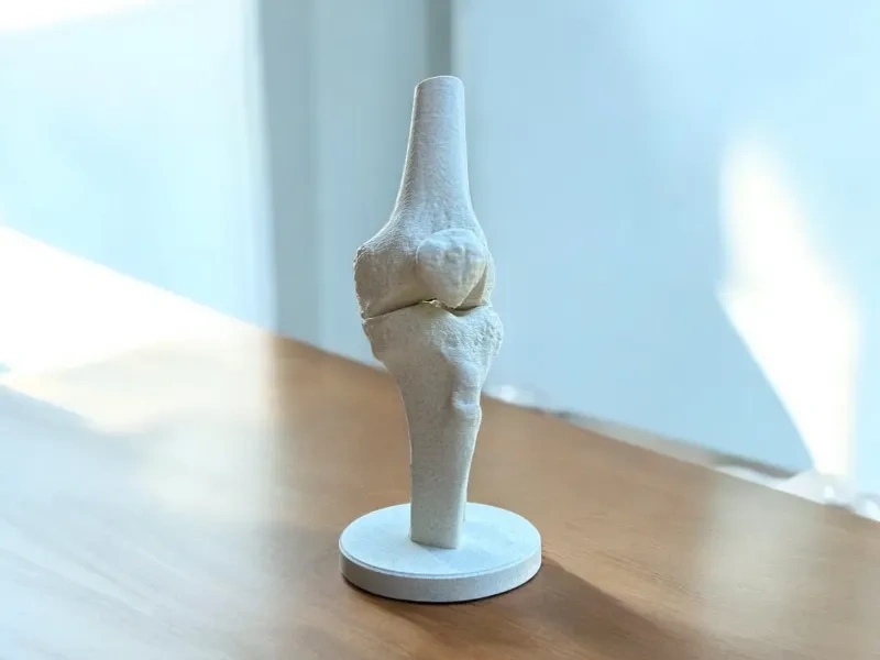 医学 | 收藏夹 - MakerWorld：下载免费3D模型