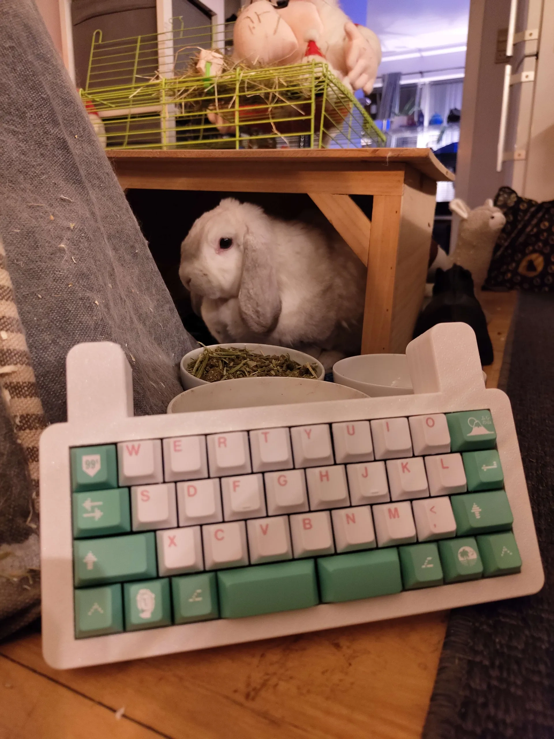 Bnuuy——一款QAZ键盘套件 来自 Dingusaurus Derp - MakerWorld