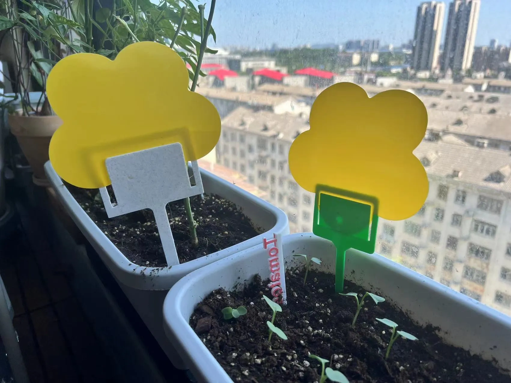 Sticky Fly Trap Holder 小黄板支架 来自 Chya - MakerWorld