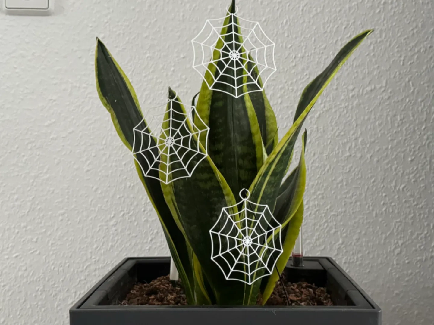 Spider web plant 来自 FelixLabs - MakerWorld