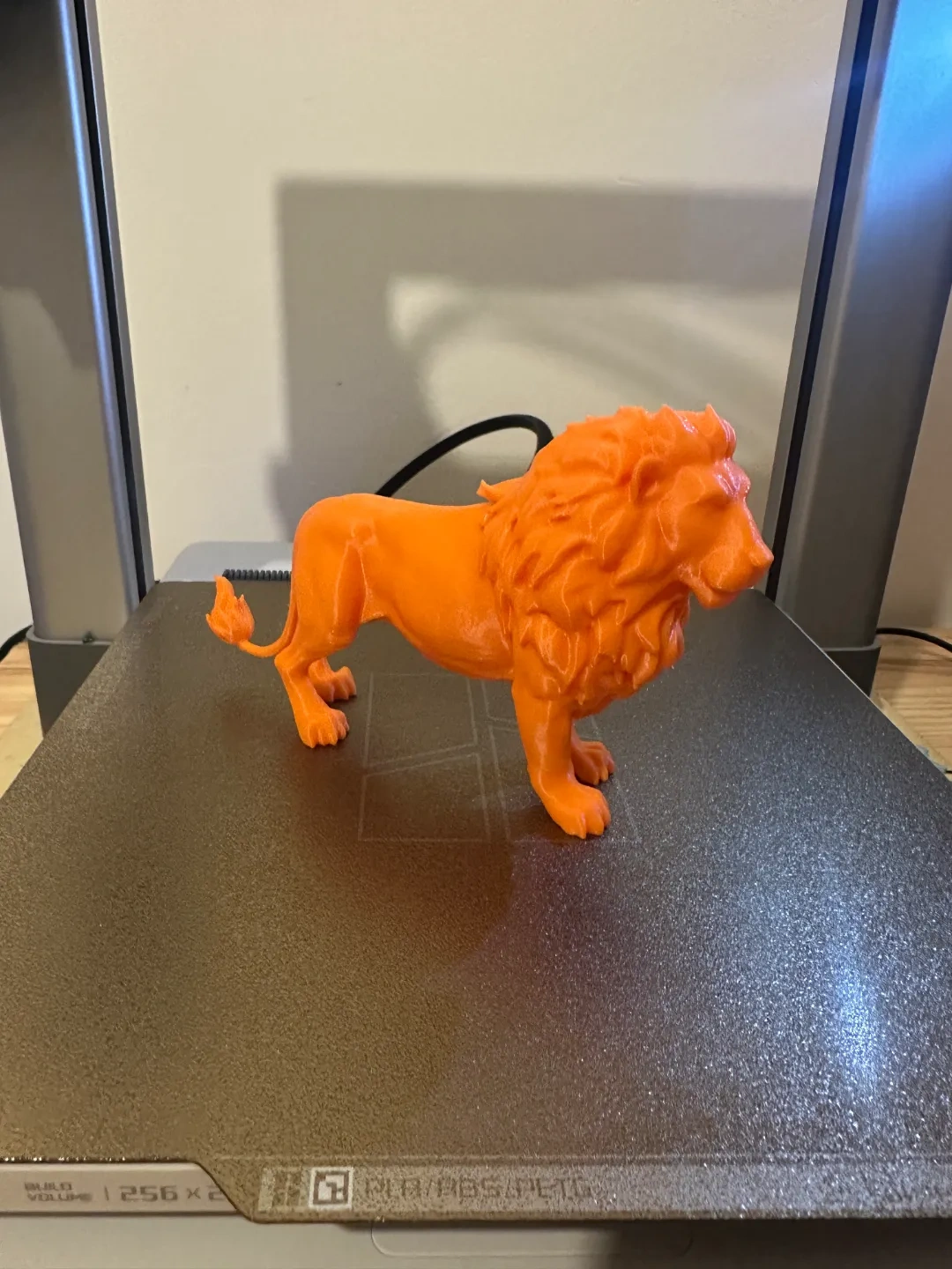 狮子 来自 3D Fun - MakerWorld