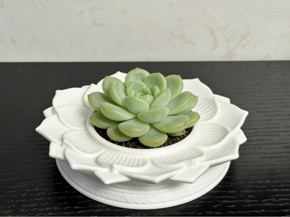 莲花多肉底座 - 免费 3D 打印模型 - MakerWorld