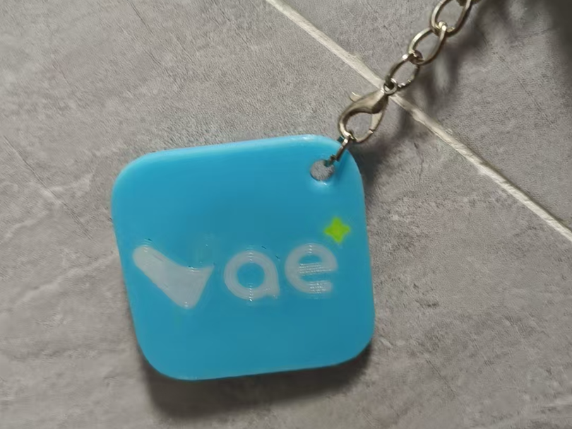 Vae+ 来自 红发黑人 MakerWorld：免费下载 3D 模型