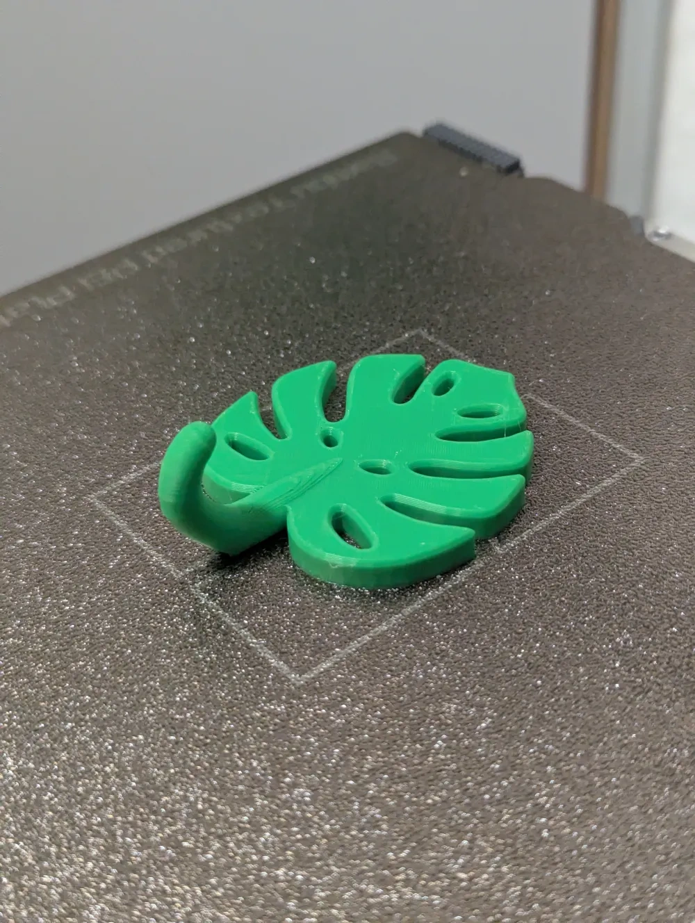 龟背竹叶挂钩 - 免费 3D 打印模型 - MakerWorld