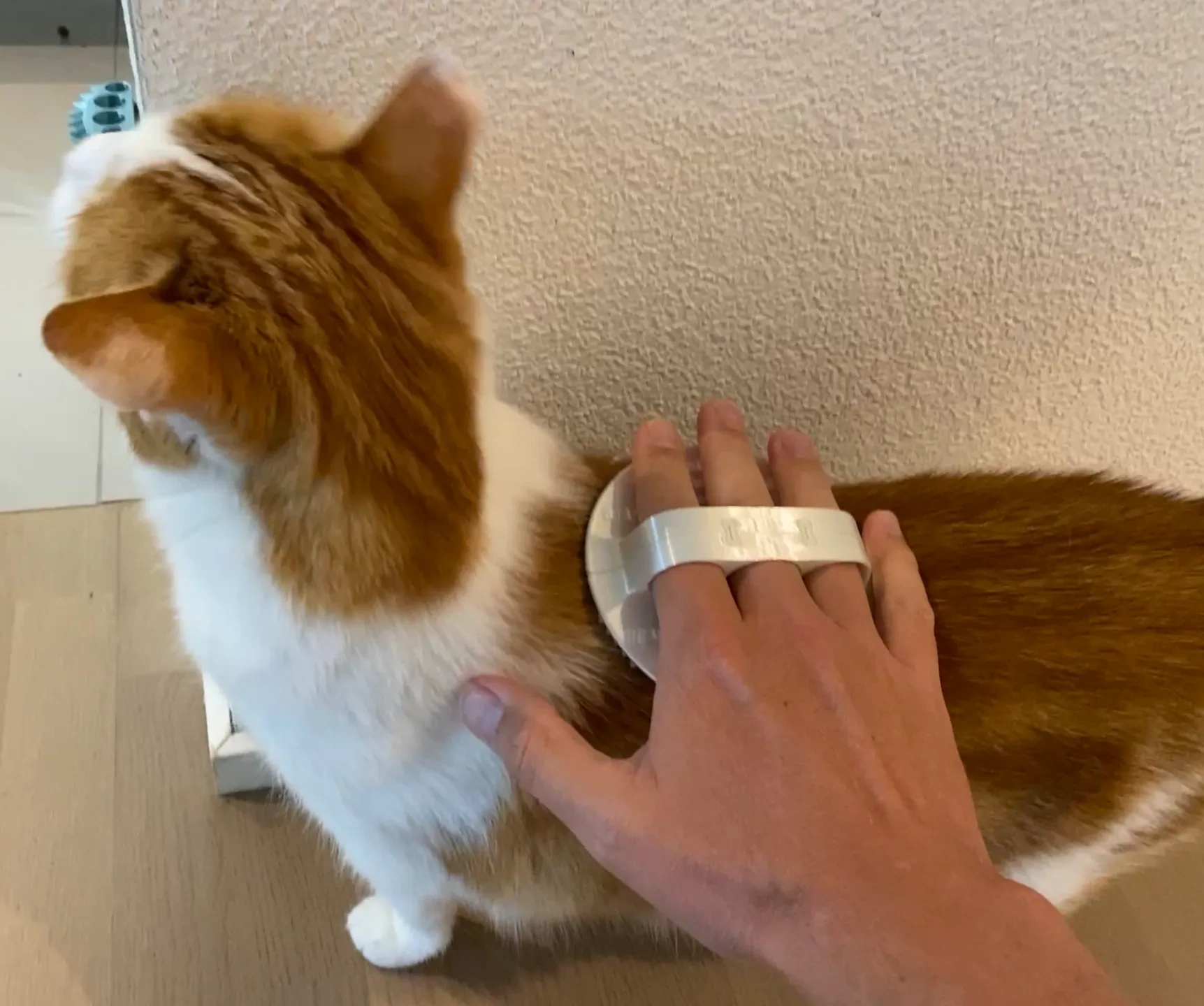 Purrfect Grooming Brush - easy to print & strong 来自 GmD - MakerWorld