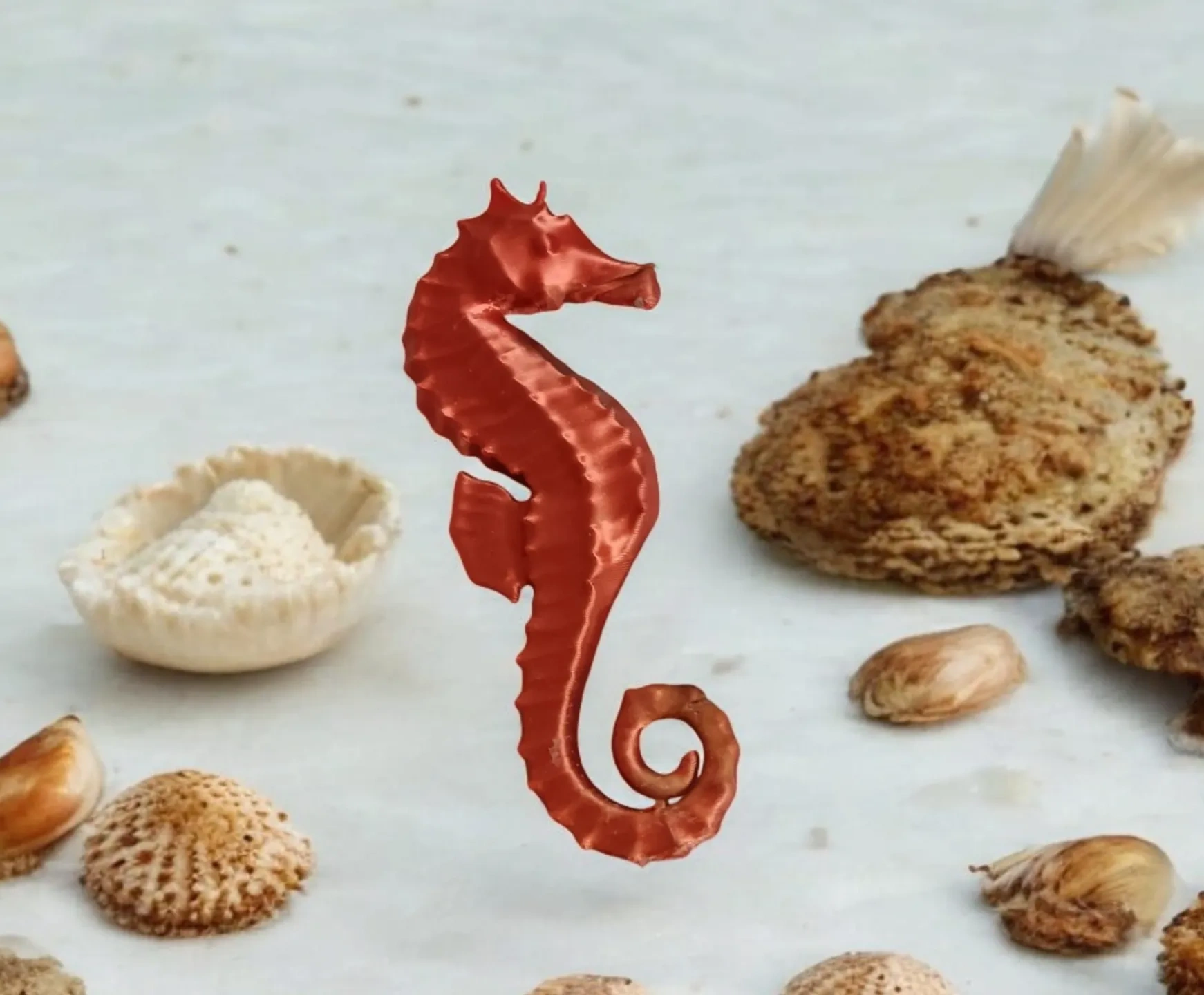 Detailed 3D Model of a Seahorse for sea lovers 来自 PS3D CREATIVE - MakerWorld