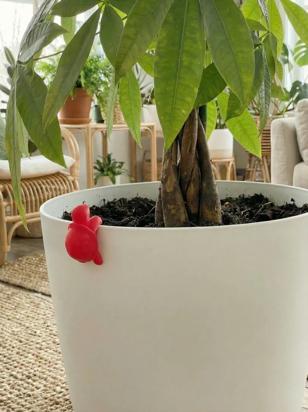 可爱爬行乌龟花盆挂饰 来自 Cubisten Lab MakerWorld：免费下载 3D 模型