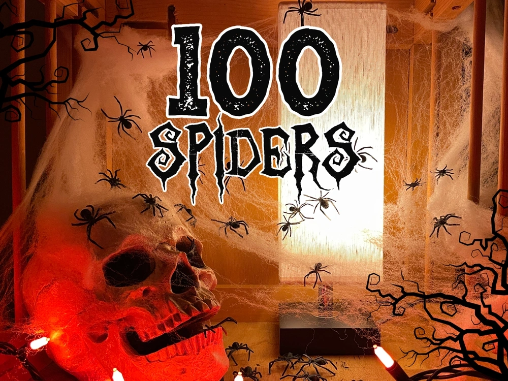 100 Spiders 来自 JDJDJD - MakerWorld