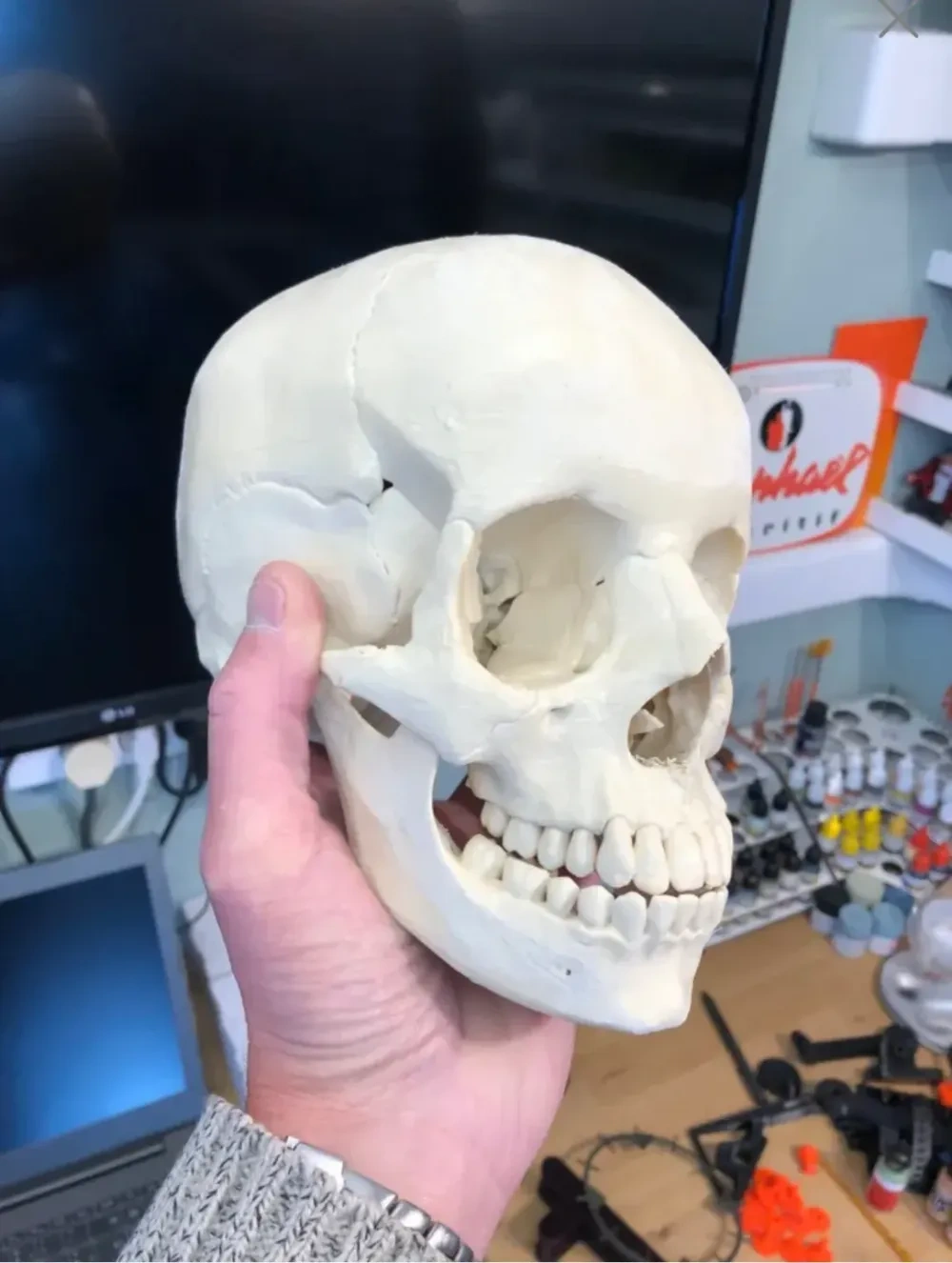 人类颅骨，解剖学上正确 - 免费 3D 打印模型 - MakerWorld