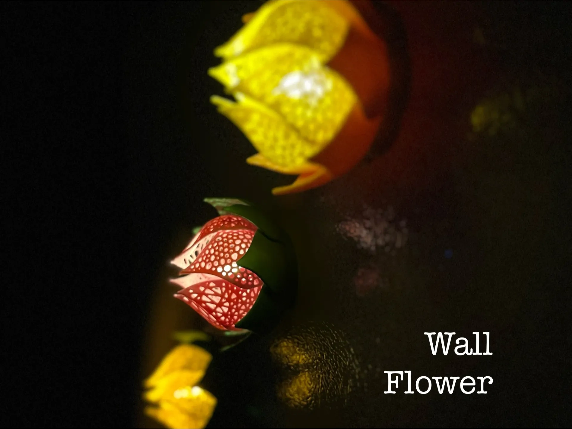 Wall Flower Light 来自 NUKDDD - MakerWorld
