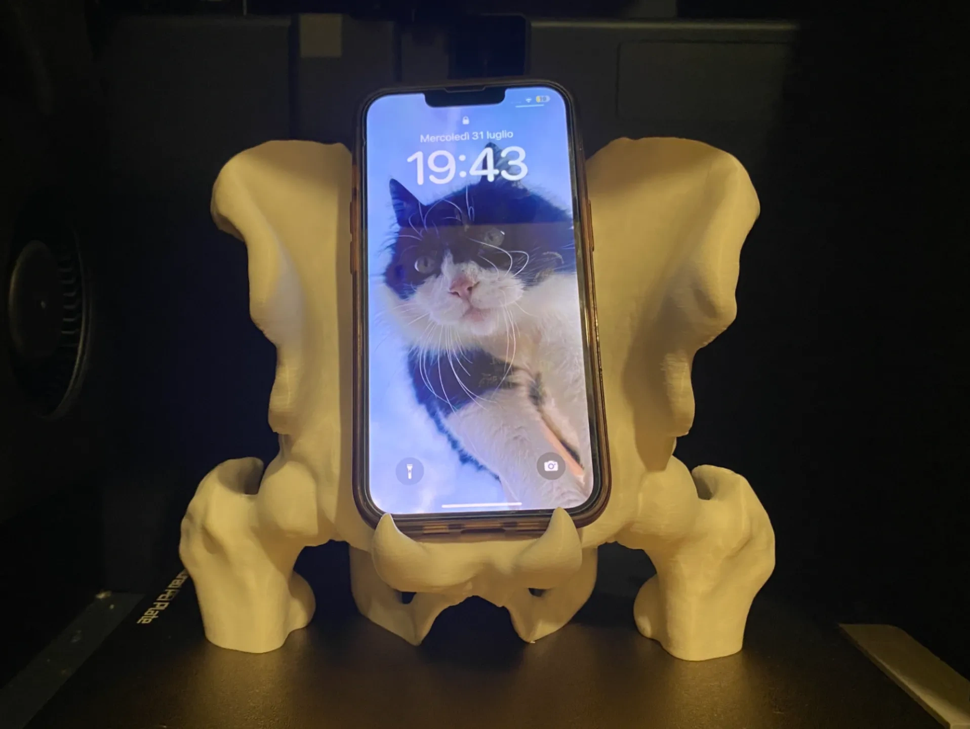 Pelvis-inspired phone holder 来自 IceGabrielito - MakerWorld