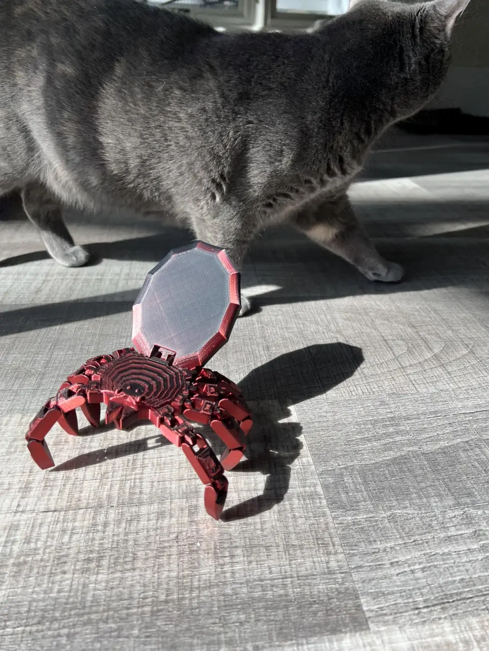 一体打印 可活动关节的 蜘蛛 (公共领域) 来自 Lettuce MakerWorld：免费下载 3D 模型