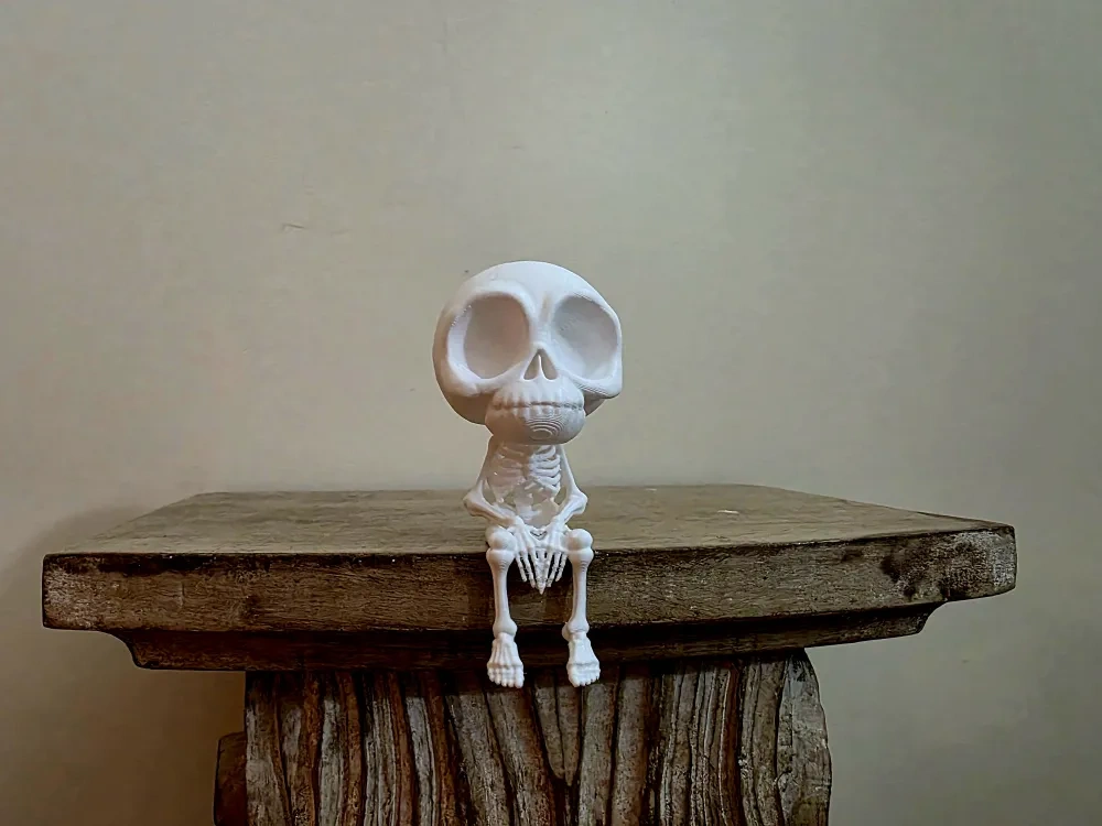 悠哉骷髅 - 打印机伙伴 来自 DTM247 MakerWorld：免费下载 3D 模型