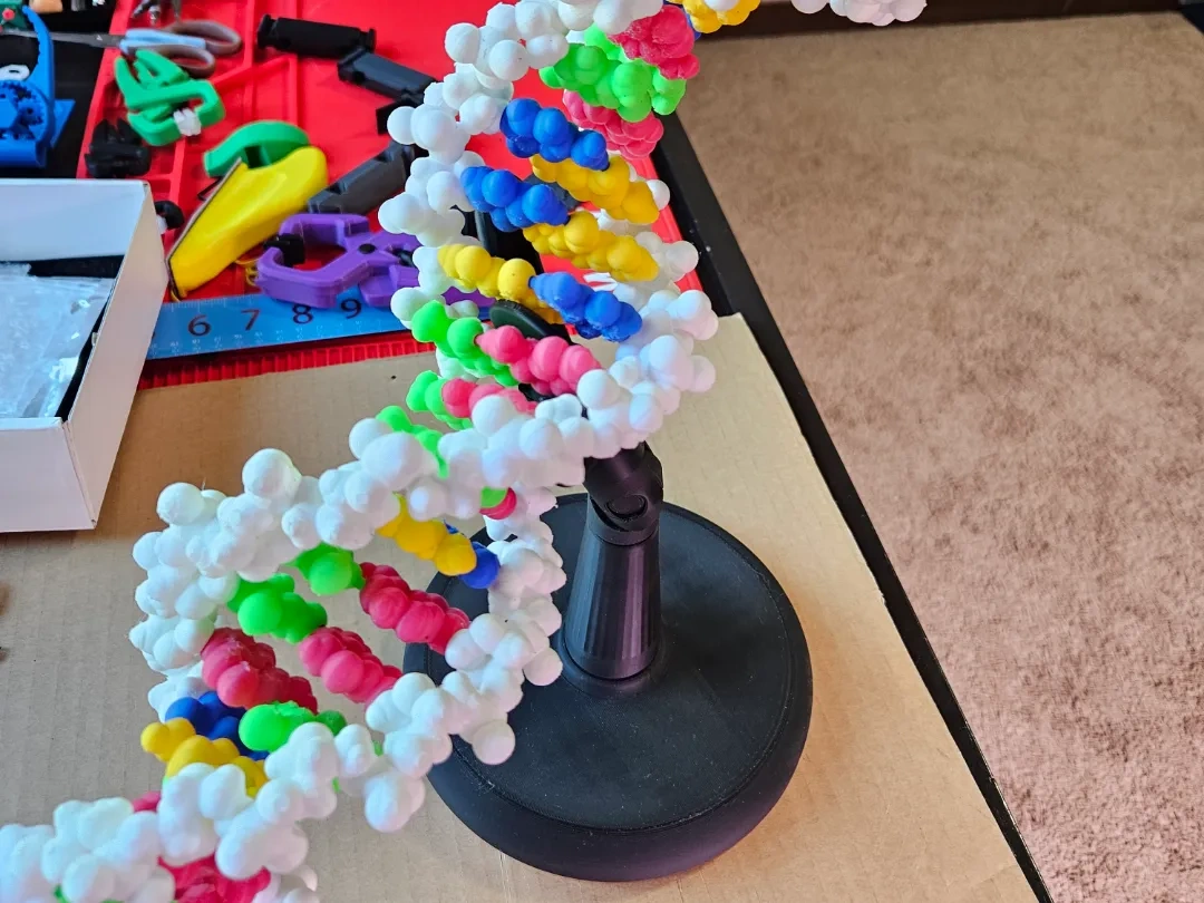 DNA支架 DNA模型 来自 shawn.mek - MakerWorld