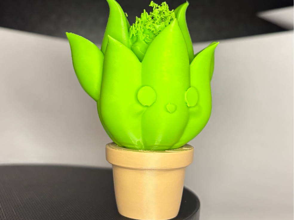 植物吉祥物 芦荟 Q版 - 免费 3D 打印模型 - MakerWorld