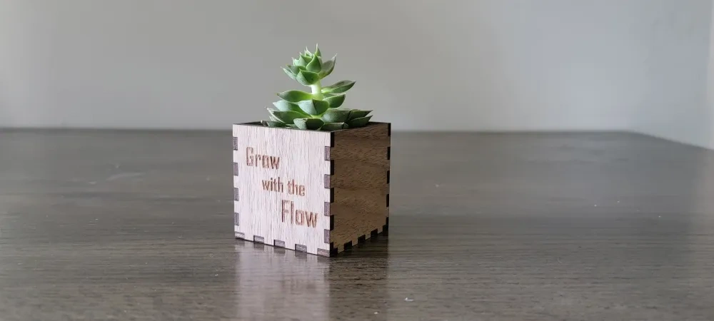 趣味多肉植物支架 57mm 来自 Printed Solutions MakerWorld：免费下载 3D 模型