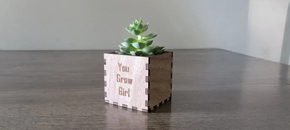 趣味多肉植物支架 57mm 来自 Printed Solutions MakerWorld：免费下载 3D 模型