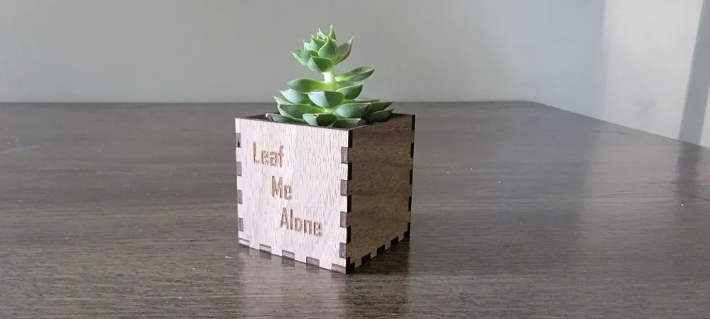 趣味多肉植物支架 57mm 来自 Printed Solutions MakerWorld：免费下载 3D 模型