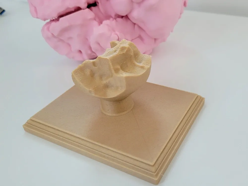 全尺寸人脑 来自 Julia Ebert - MakerWorld