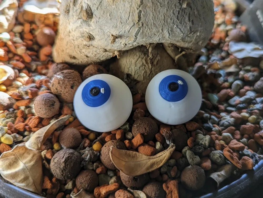 眼睛 来自 blecheimer - MakerWorld