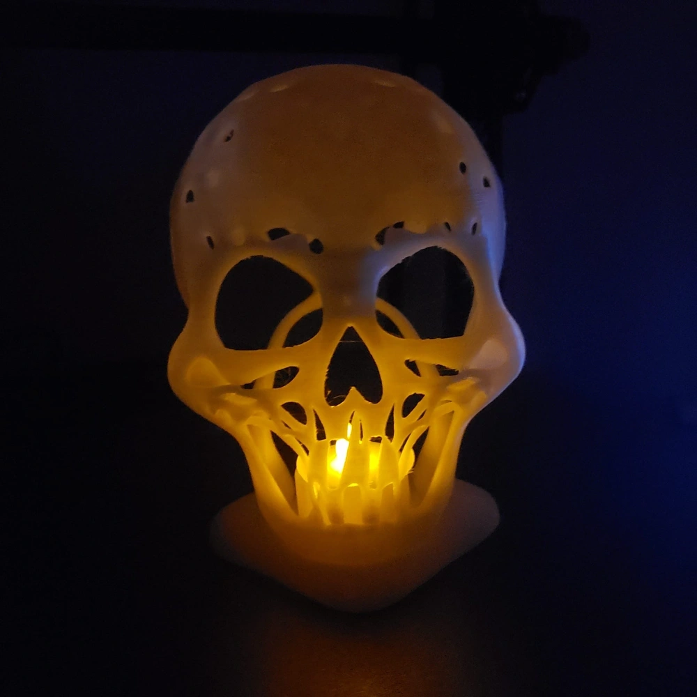 Sunlu Skull webbed human skull 来自 VRsculpts - MakerWorld