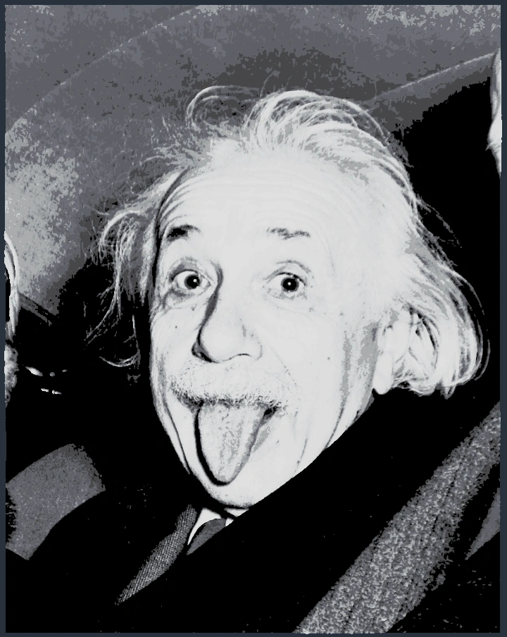 阿尔伯特·爱因斯坦的黑白肖像墙艺术 来自 ZGremlin - MakerWorld