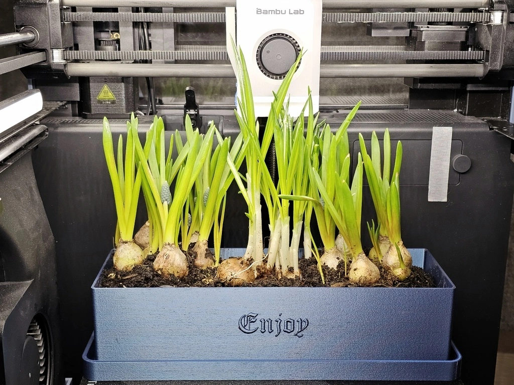 矩形种植盆花盆现代设计 来自 Daniel Schenk - MakerWorld