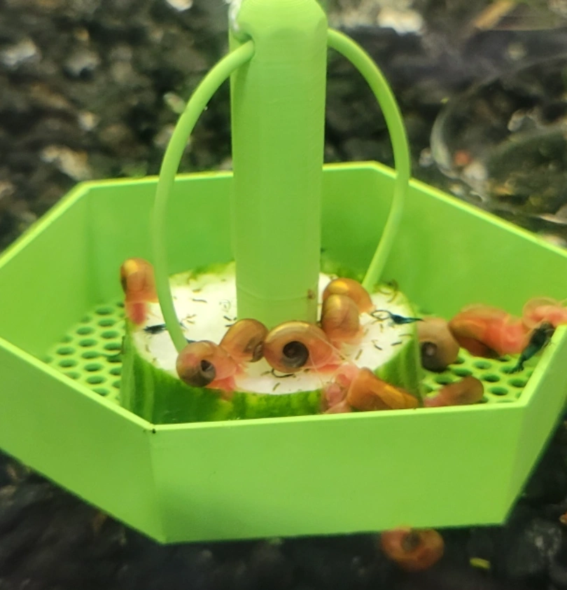 蜗牛陷阱 来自 user_661549024 - MakerWorld