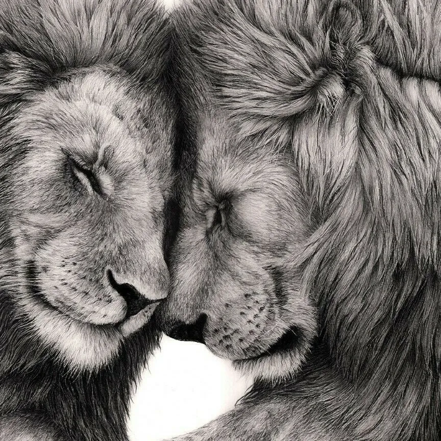 Hueforge - 狮子 来自 Anniiluff - MakerWorld